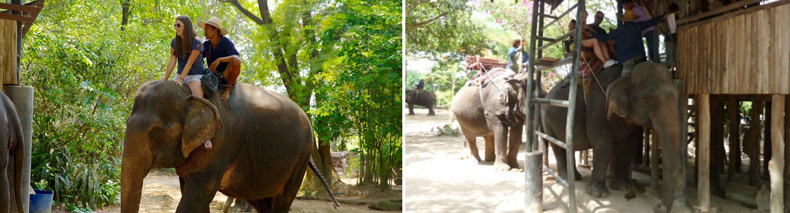 Pattaya Elephant Village. Ride price 600 THB - Online-Pattaya.com